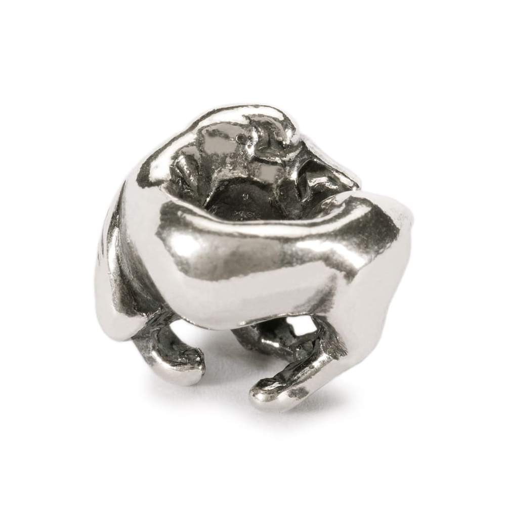 Leo Silver Bead – Mu Shop